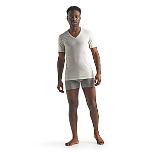 Icebreaker Merino Anatomica T-Shirts for Men, Short Sleeve V-Tee, Merino Wool Base Layer - Lightweight, Durable Thermal Shirts for Skiing, Hiking - Cold Weather Men’s Essentials, Snow, X-Large