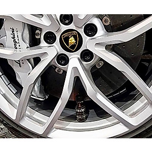 Drexler Ceramic Wheel Coat Coating 20ml 9H Professional Grade Hydrophobic Protection High Gloss Finish Water and Dirt Repellent for All Types of Wheels - Matte Rims