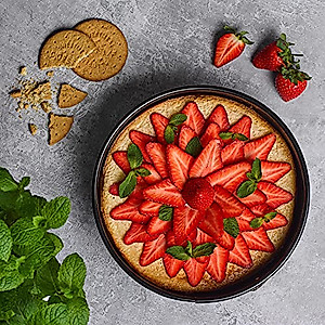 Tala Non Stick 10" Springform Cake Tin, Black