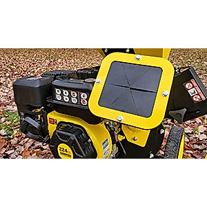 Champion Power Equipment 200905 3-Inch Portable Chipper-Shredder with Collection Bag