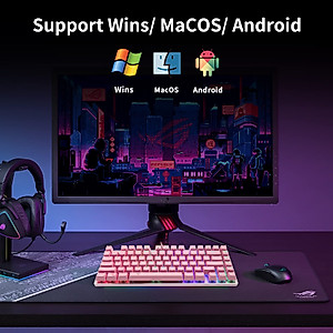HUO JI 60% Mechanical Gaming Keyboard, LED Backlight 81 Keys Compact Keyboard USB Wired Keyboard Blue Switch, Pink