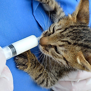 Frienda Large Plastic Syringe 4 Pack Measuring Syringe Tools Dispensing Multiple Uses (20 ml and 60 ml)