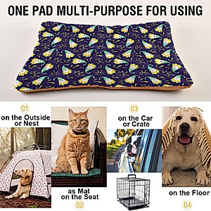 Coikll Cute Christmas Gnome Pet Bed Pad Soft Dog Bed Mat with Anti-Slip Bottom, Machine Washable Crate Pad Mattress for Dog Sleeping- 24 * 18inches