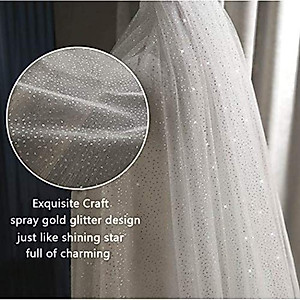 Aukmla Sparkle Cathedral Wedding Veil Long Glitter Bridal Veils with Comb for Women and Brides (White, 59'' Width)