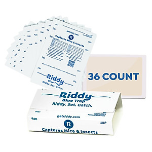 Riddy Glue Boards, 36 Boards, Pre-Baited, Ready to Use Mouse Traps Indoor for Home, Sticky Adhesive for Bugs and Rodents, 5.5" x 7.5"