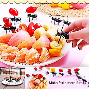 [24 Pack] Ant Food Picks Reusable Fruit Dessert Fork - Pinowu Ant Toothpicks Animal Appetizer Forks for Snack Cake Dessert with Gift Box