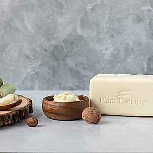 Plant Therapy Organic African Shea Butter Raw, Unrefined USDA Certified16 ounce Bar 100% Pure, Natural Moisturizer For Dry, Cracked Skin, Best for DIY