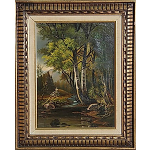 Forest Landscape