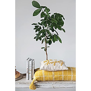 Creative Co-Op Embroidered Cotton Lumbar Today is A Gift in Script Pillow, Cream & Mustard