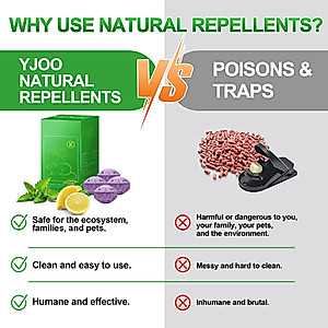 Rodent Mice Repellent - 36Pcs Peppermint Oil Mouse Repellent Balls for Rats Mice Deterrent, Keep Rodents Out of Car House Indoor Outdoor, Mice Rat Repellent Humans & Pets Safe, Rat Spider Control