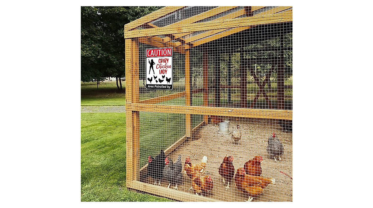 Bestylez Area Patrolled by Chicken Lady - Crazy Chicken Lovers Gag ...