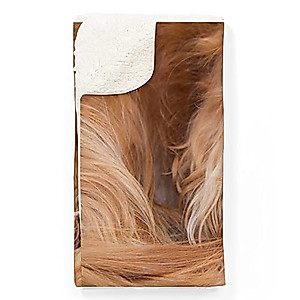 CafePress Sweet Friend Ruby Cavalier King Charles Spaniel Sh Sherpa Fleece Throw Blanket