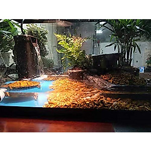 EmmaWu Turtle Filter Small Tank Filter Low Water Level Aquarium Filter Submersible Turtle Reptiles Amphibian Fish Shrimp Frog Crab Tank Filter (200L/H) (Black)