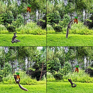 PFNRTH Bungee Squirrel Feeder for Outside, Cob Holder, Attracts Squirrel, Chipmunk and Other Backyard Wildlife