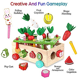 Toddlers Montessori Wooden Educational Toys for Baby Boys Girls Age 2 3 4 Year Old, Shape Sorting Toys Gifts for Kids 2-4, Wood Preschool Learning Fine Motor Skills Game