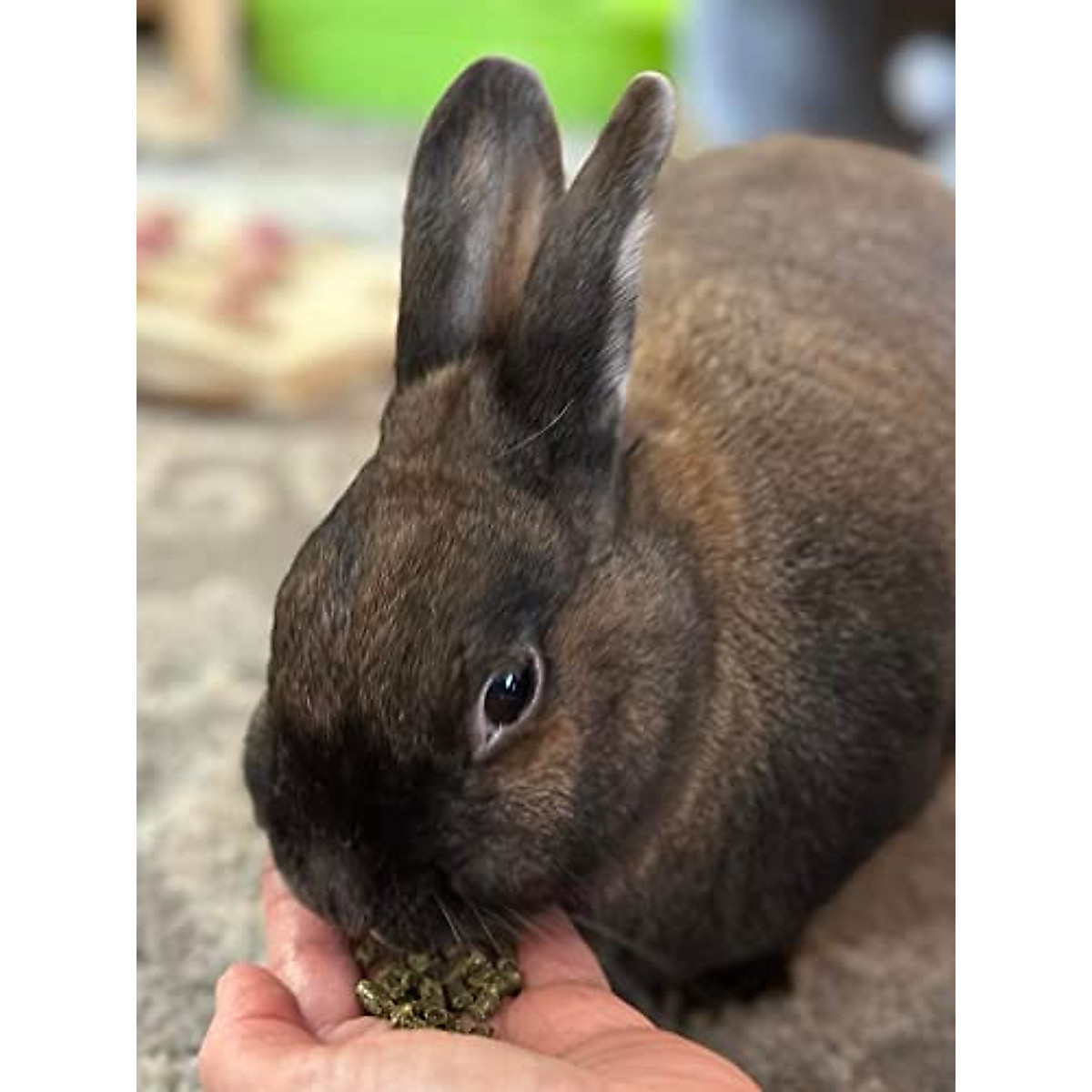 Sherwood Pet Health Adult Rabbit Food Timothy Hay Pellet 20 pounds. This hay-Based Formula is Grain-Free and Soy-Free for Better Digestion. Its Also scientifically Balanced for Better Urinary Health.