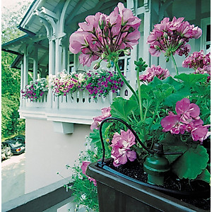 Blumat Medium Box Drip Irrigation System - Automatic Drip Irrigation Kits for Up to 12 Plants (12 Pack), Garden Watering System Up to 12 Plants - Irrigation System for Garden, Patio & Hanging Baskets