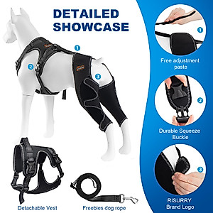 CHAMIN Dog Leg Braces for Hind Leg, Dog Acl Knee Brace Support for Cruciate Ligament Injury，Osteoarthritis, Luxating Patella, Muscle Sore,et(Extra Large)