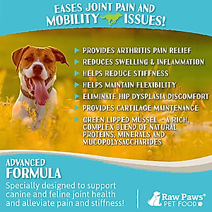 Raw Paws Green Lipped Mussel Hip and Joint Supplement for Dogs & Cats, 10-oz Powder - Green Lipped Mussels for Dogs - Natural Chondroitin Glucosamine for Dogs & Cats - Dog Joint Pain Relief for Dogs