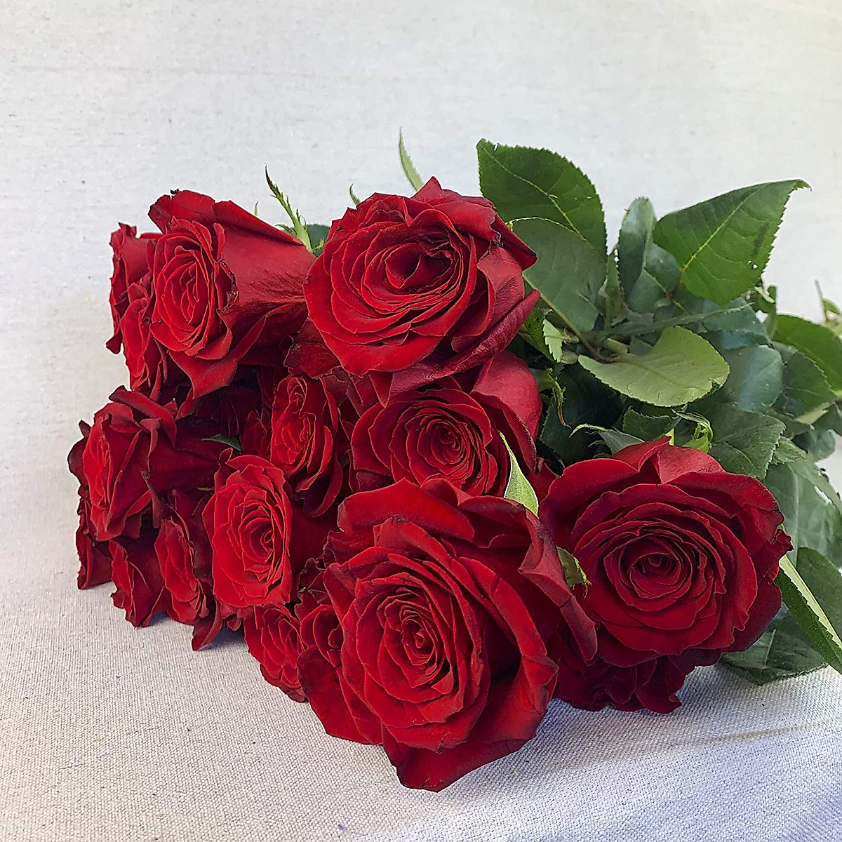 Fresh Cut 24 Red Roses - Fresh from the Farm Red Rose Bouquet – Hand-Selected Long-Lasting, Gift and Home Decor Perfect Fresh Flowers |20" Long Stems No Vase-2 Dozen | Flowers Gift