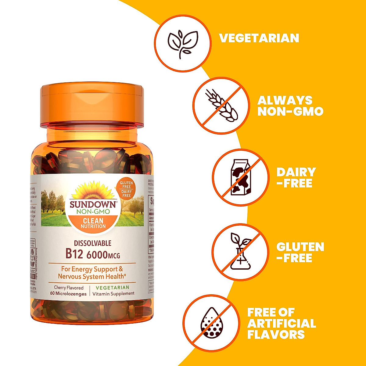 Sundown Vitamin B12 Microlozenges, 6000 mcg, Cherry Flavor, 60 Count