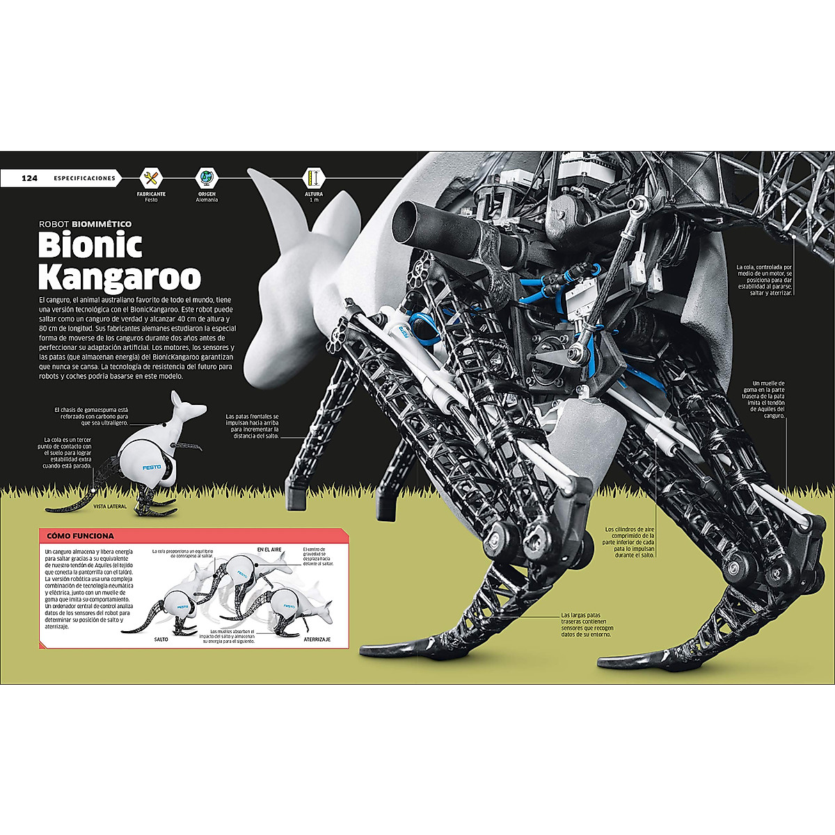 Robot (Spanish Edition): Descubre las máquinas del futuro