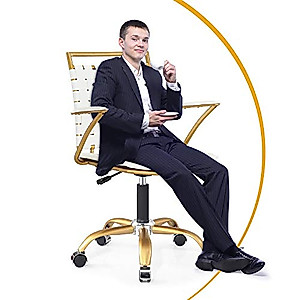 CAROCC Cute White and Gold Desk Chair Gold Office Chair Golden Comfort for Women Office Products Home Office Desk Chair Computer Chair Task Chair Small Vanity Cute Desk Chair (GD-White)