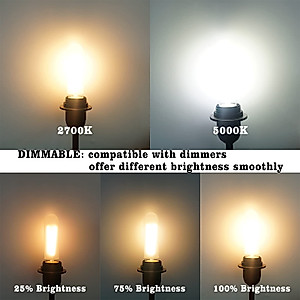 Yaoten T10 Dimmable Led Bulb, Frosted Led Light Bulb, 2W Equal to 25 Watt, 2700K Warm White Tubular Edison Bulb, E26 Base, for Cabinet, Displaying Cabinet, Pack of 3