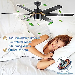 POCHFAN 60 inch Black Ceiling Fans with Lights and Remote, Modern Smart Ceiling Fan Compatible with Alexa, Google Home & Smart APP, Reversible Dimmable DC Ceiling Fan for Indoor or Covered Outdoor