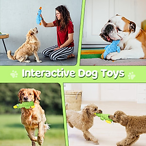 IOKHEIRA Dog Plush Toy for Large Aggressive Chewers,Indestructible Dog Squeaky Toys,Stuffed Animals Toys with Cotton Material and Crinkle Paper,Durable Chewing Toys (Blue-Green, Duck)