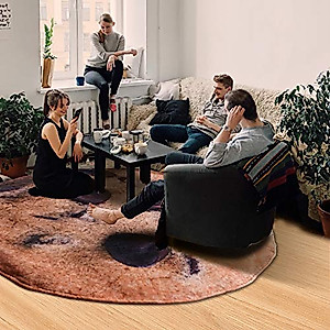 71" Cookie Blanket Throw Blanket - 290GSM Novelty Chocolate Chip Cookie Blanket with Soft Microfiber, Round Cookie Blanket Adult Size for Kids Women Men 1 Pack