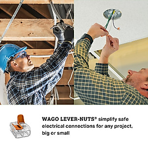 Wago 221-412 2-Conductor Compact Splicing Connectors (Pack of 100)