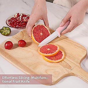 YUSOTAN Ceramic Paring Knife - 4-Inch with Sharp Ceramic Blade and Unique Hippopotamus Cover - Handle Fruit and Vegetables Kitchen Knife (Pink)