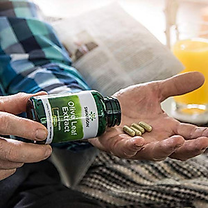 Swanson Olive Leaf Extract Capsules with 20% Oleuropein - Provides Immune Support, Promotes Cardiovascular System Health, and Supports Healthy Blood Pressure - (120 Capsules, 500mg Each)