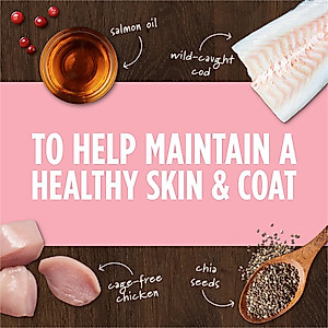 Instinct Raw Boost Mixers Freeze Dried Dog Food Toppers For Dry Food, Grain Free Dog Food Toppers with Chicken For Dogs - Skin and Coat Health, 5.5 oz