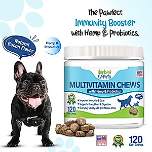 Herbion Pets Multivitamin Chews with Minerals & Probiotics; Improves Immunity & Coat; Supports Digestion; Brain & Heart Health; Delicious Natural Duck Flavor; Dog Supplements & Vitamins
