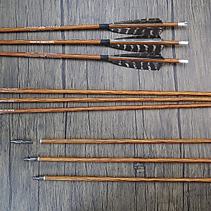 Archery Hunting Carbon Fiber Arrows, MS Carbon Fiber Arrow Spine 400 with Replacement Screw-in 100 Grain Points and 4 Inch Real Feather for Compound Bow Recurve and Long Bow 6 Pack (31inch)