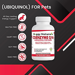 Coenzyme Q10 High Potency COQ10-40mg UBIQUINOL for Dogs (120 Tabs) Made in U.S.A. CoQ10 for Dogs