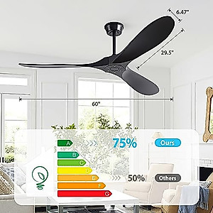 WERBUY 60 Inch Ceiling Fan without Light, Remote Control, for Patio, Ceiling fans for Living Room, Bedroom, Office, Indoor, Outdoor