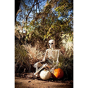 Crazy Bonez Pose-N-Stay Skeleton