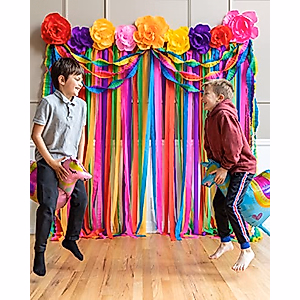 Riles & Bash Fiesta Streamer Backdrop with Crepe Paper Flowers and Ruffled Streamers (Fiesta)