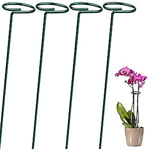 LEOBRO 4 Pack Plant Support Stakes, Garden Single Stem Flower Plant Support, Plant Cage Support Ring, Plant Sticks, Plant Stakes for Indoor Plants Amaryllis Orchid Peony Tomato Flower, 40CM/15.8INCH