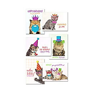 Funny Cat Pun Birthday Card Pack / 24 Cat Birthday Cards With White Envelopes / 4 7/8" x 3 1/2" Cats Birthday Note Cards/Hilarious Cute Kitten Birthday Greeting Cards