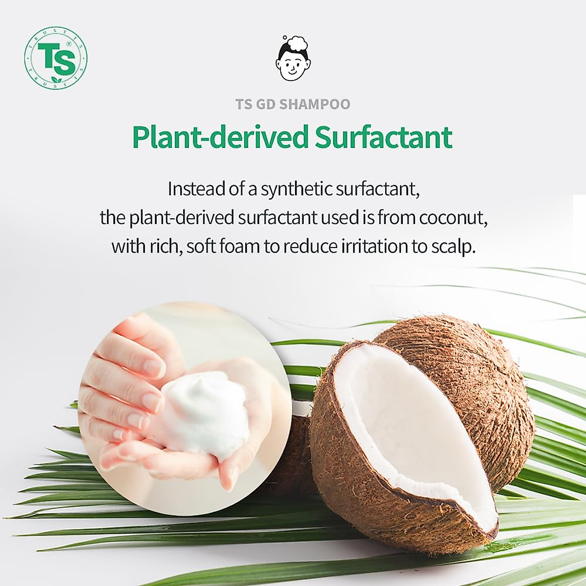 TS GD Shampoo for Dandruff & Itchy Scalp (13.5 Oz) Youth & Teen Shampoo | Treatment for Adolescents | Allergen free | Silicone,SLS,SLES Free | Korean Shampoo