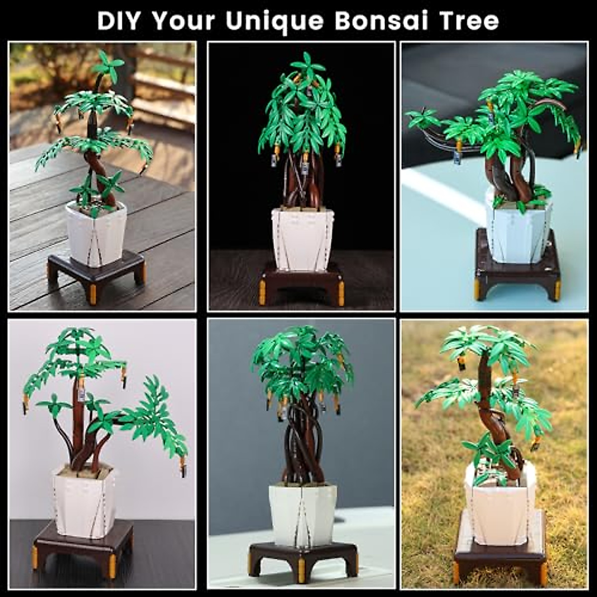 JMBricklayer Bonsai Tree Building Set for Adults 20008 - DIY Unique Money Tree Building Toy, Succulent Plants Flowers Botanical Collection Model for Room Office Decor - Gifts Idea for Boys Girls 14+