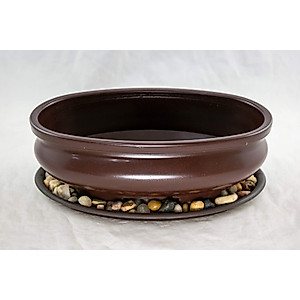 Calibonsai 9 inch Oval Heavy Duty Plastic Bonsai/Succulent Pot + Tray + Rock + Mesh Combo