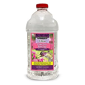 Pennington Electronectar Hummingbird Food Ready to Use Clear 64 ounces (Pack of 1)