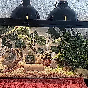 MUYG Reptile Terrarium Plants Decoration,Bearded Dragons Habitat Bendable Hanging Jungle Vines Decor Lizard Tank Artificial Leaves Plant Accessories for Lizards Snake Geckos Chameleon