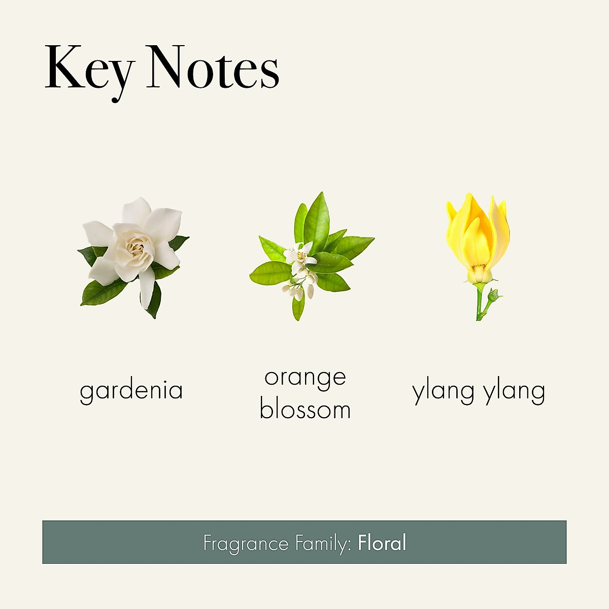 LAFCO New York 3-Wick Candle, Fresh Cut Gardenia - 30 oz - 120-Hour Burn Time - Reusable, Hand Blown Glass Vessel - Made in The USA