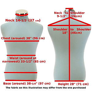 Male Dress Form Torso with Round Metal Stand
